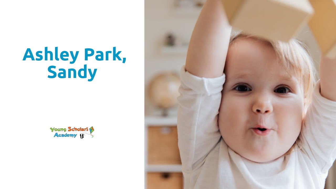 Things to do and places to visit in Ashley Park, Sandy - Young Scholars ...